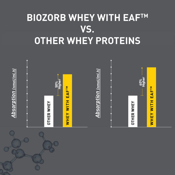 MuscleBlaze Biozorb Iso-Zero – MuscleBlaze Singapore